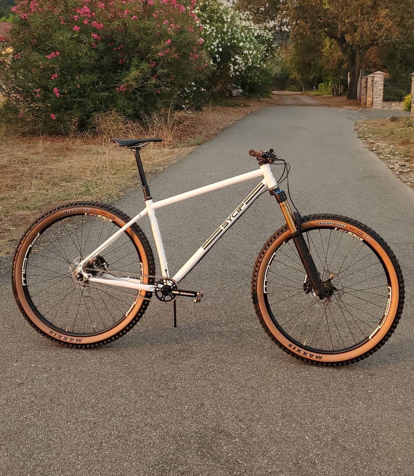 Las Bicicletas Single Speed: Simplicidad y Eficiencia | Interbike